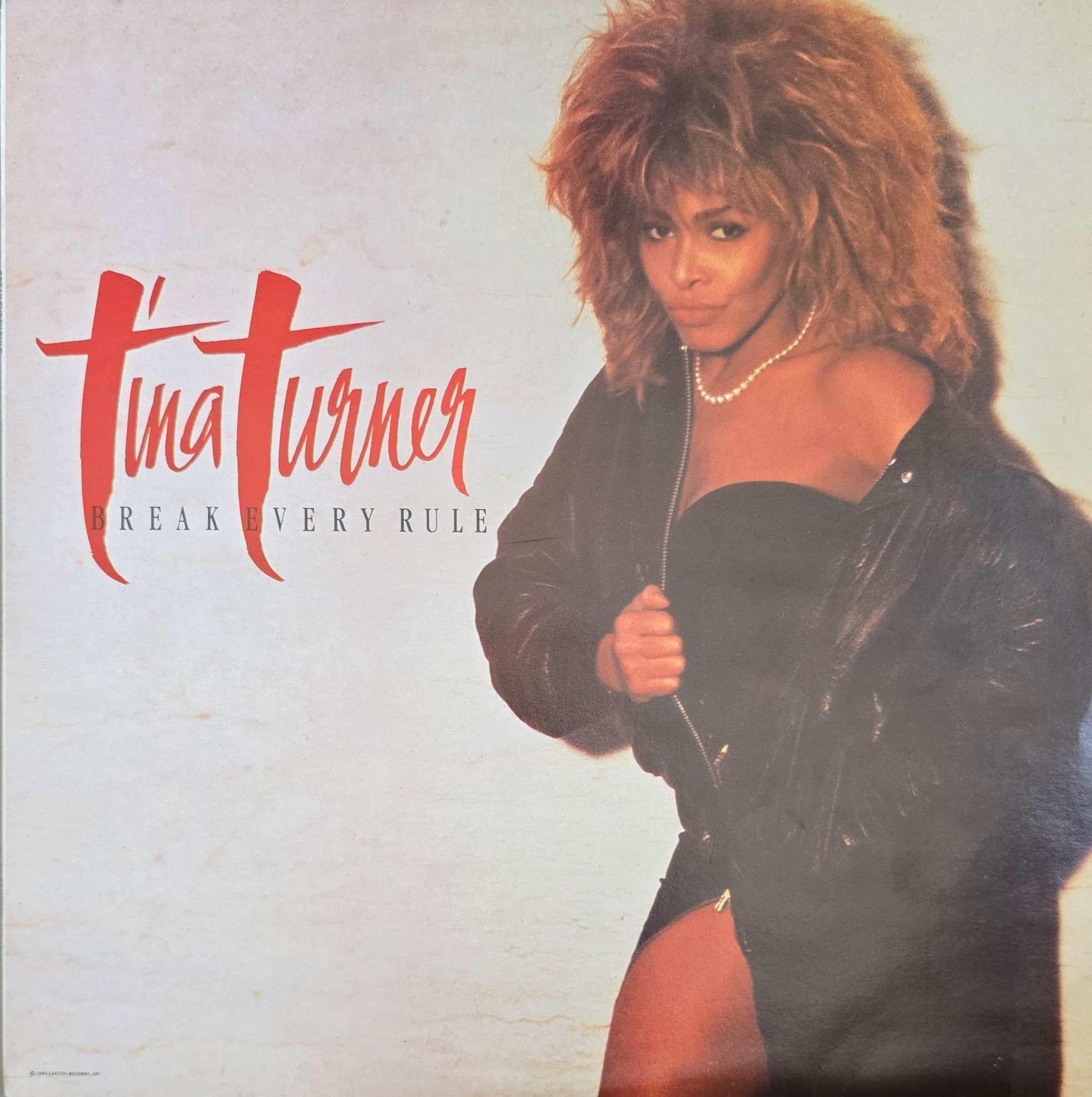 Tina Turner – Break Every Rule – Vinyl Legend