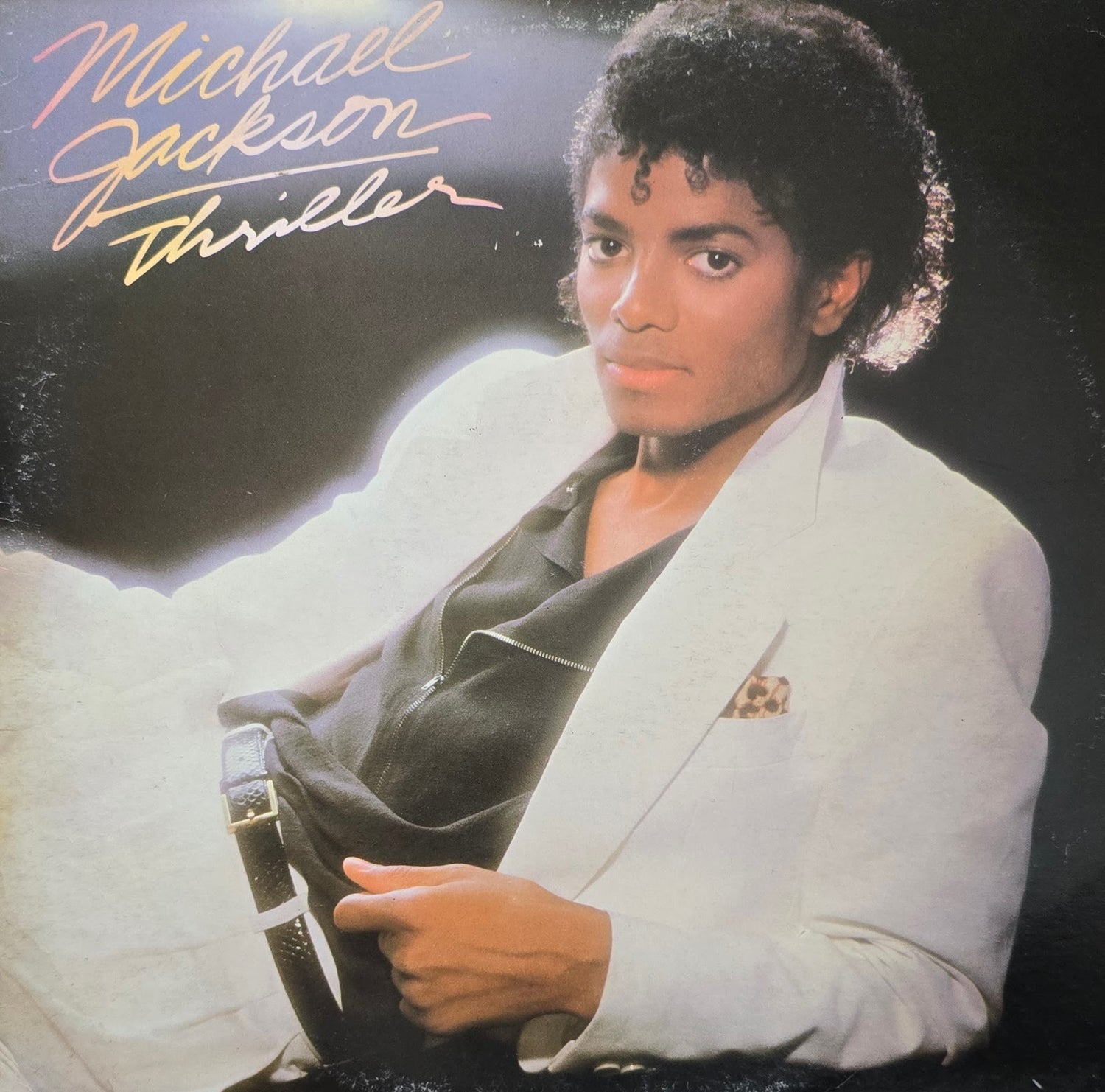 Vinyl Legend - For the Love of Vinyl Records