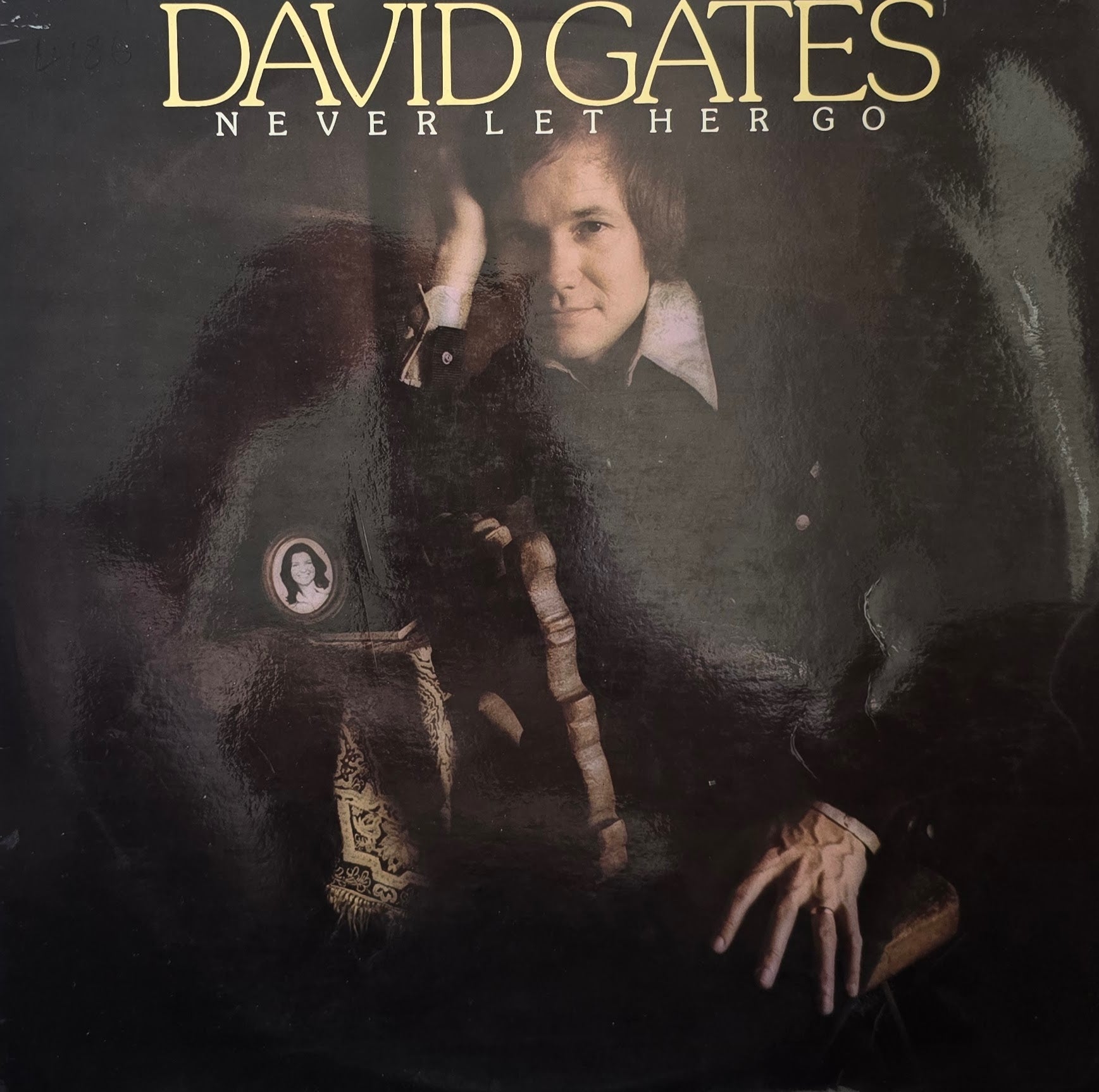David Gates – Never Let Her Go – Vinyl Legend