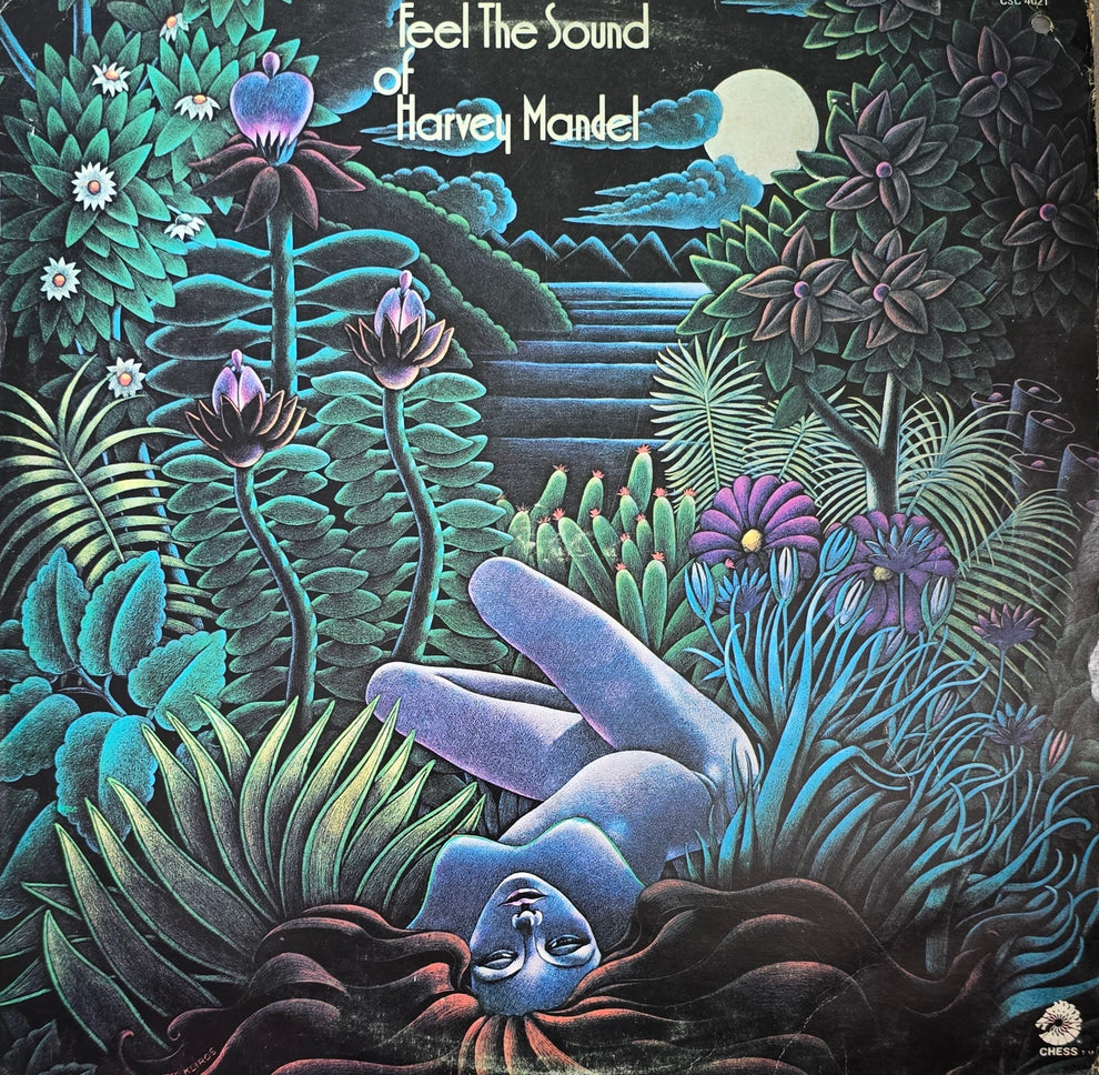 Harvey Mandel – Feel The Sound Of Harvey Mandel – Vinyl Legend