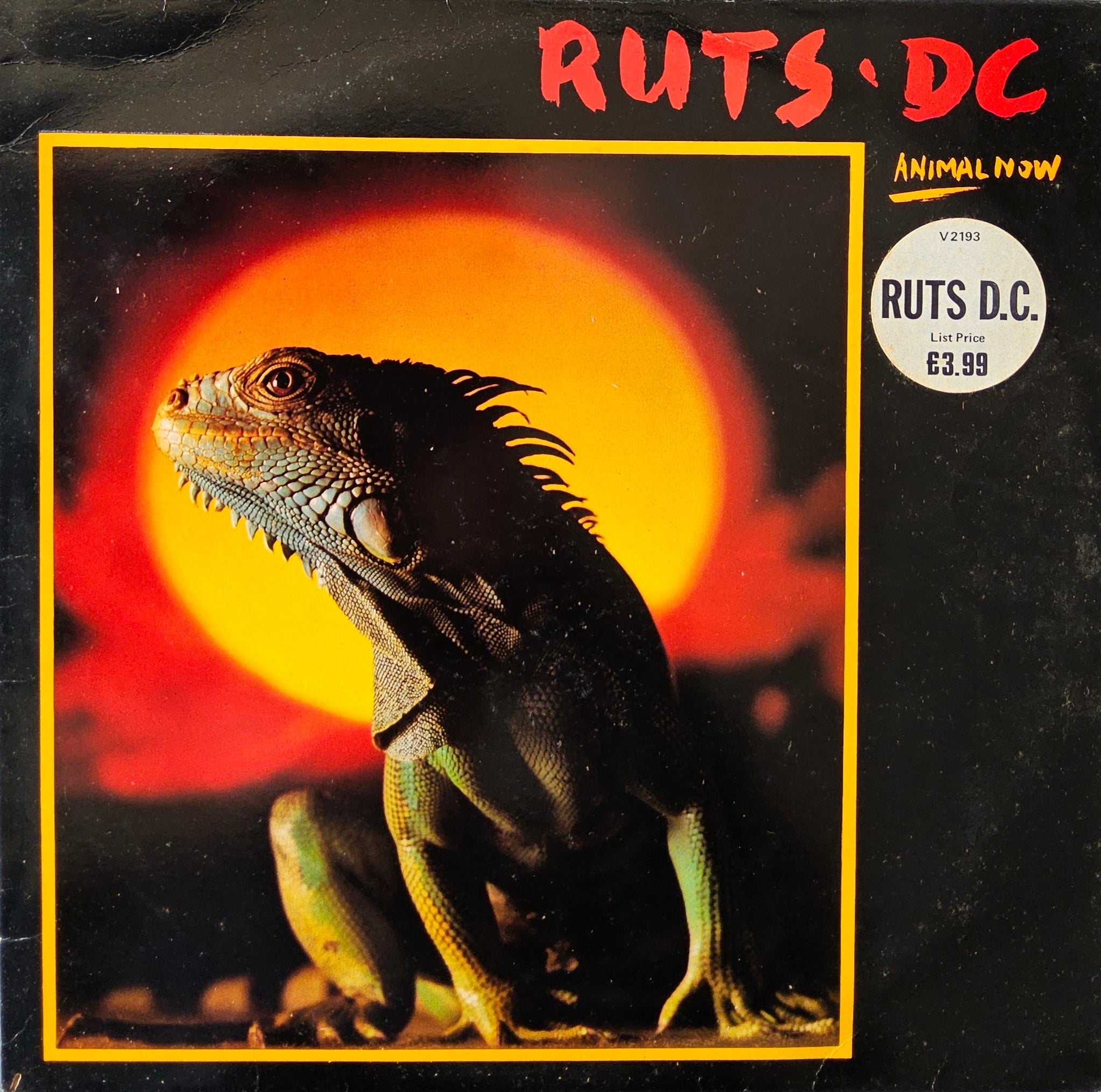 Ruts DC – Animal Now – Vinyl Legend